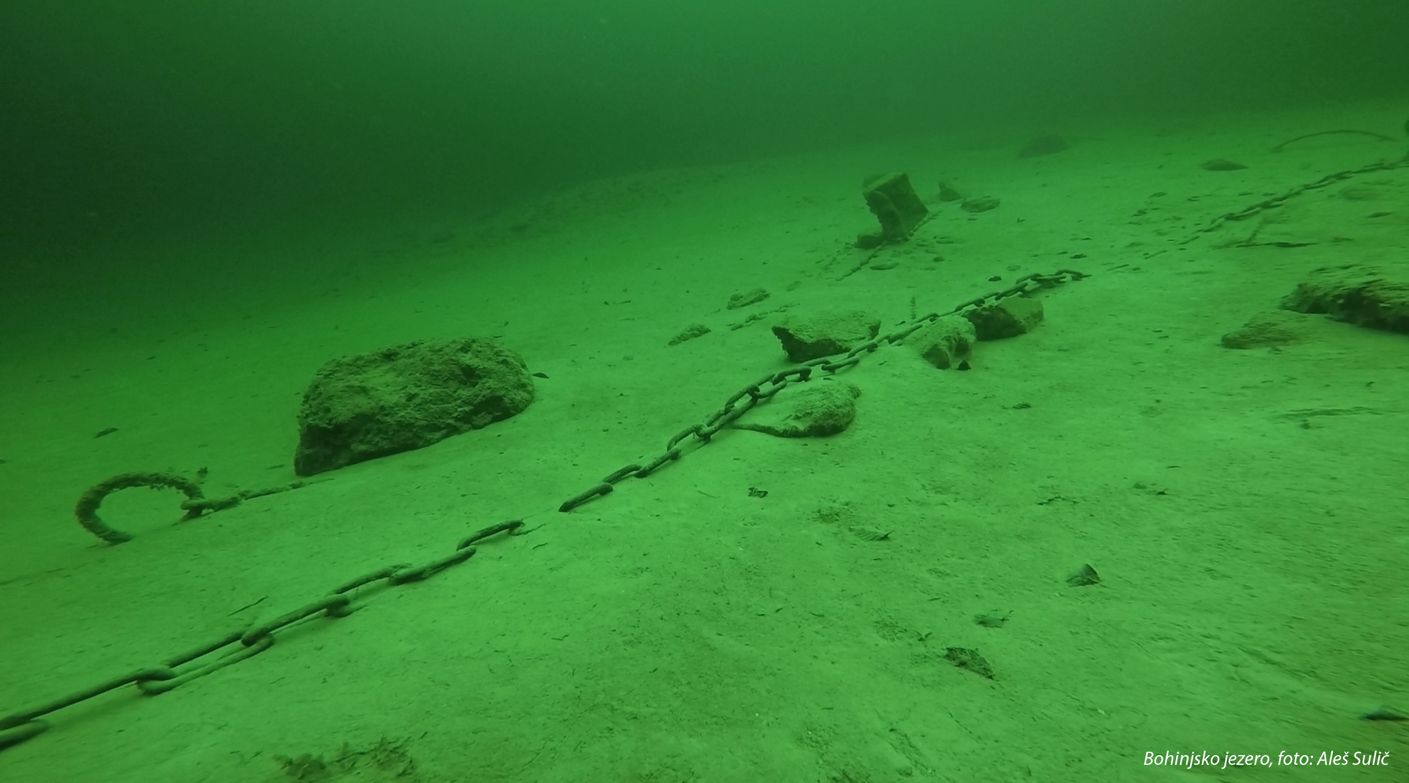 Bohinjsko jezero pod vodo foto: Aleš Sulič – svet pod vodo